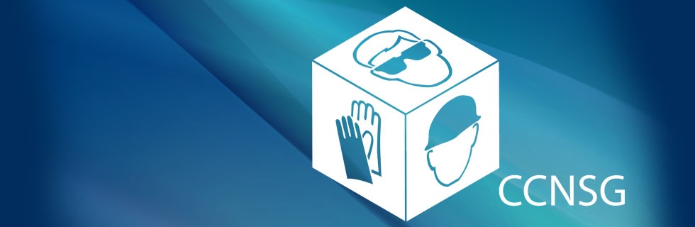 What is CCNSG safety passport training